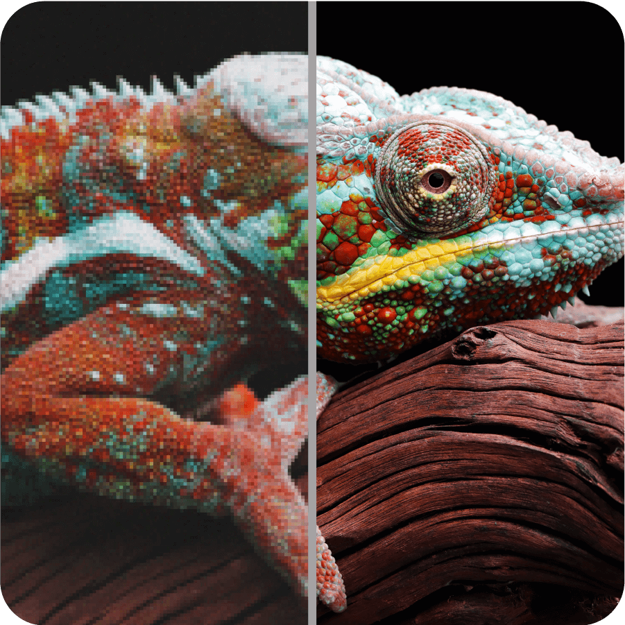 Momo - AI Photo Editor